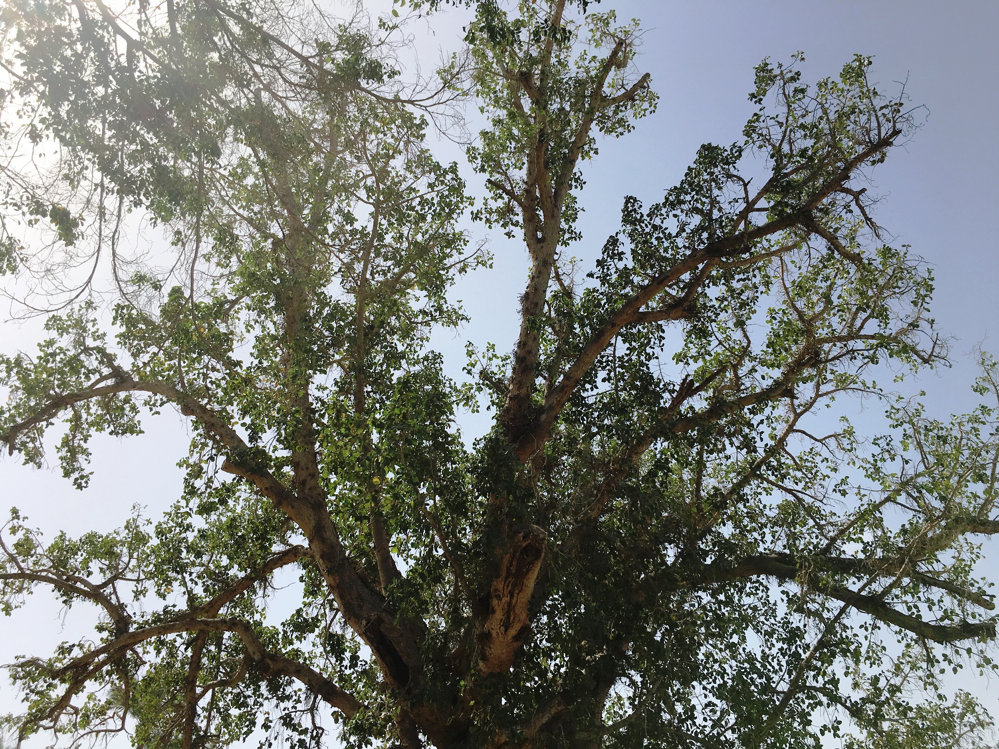 Meeting Jesus our Saviour