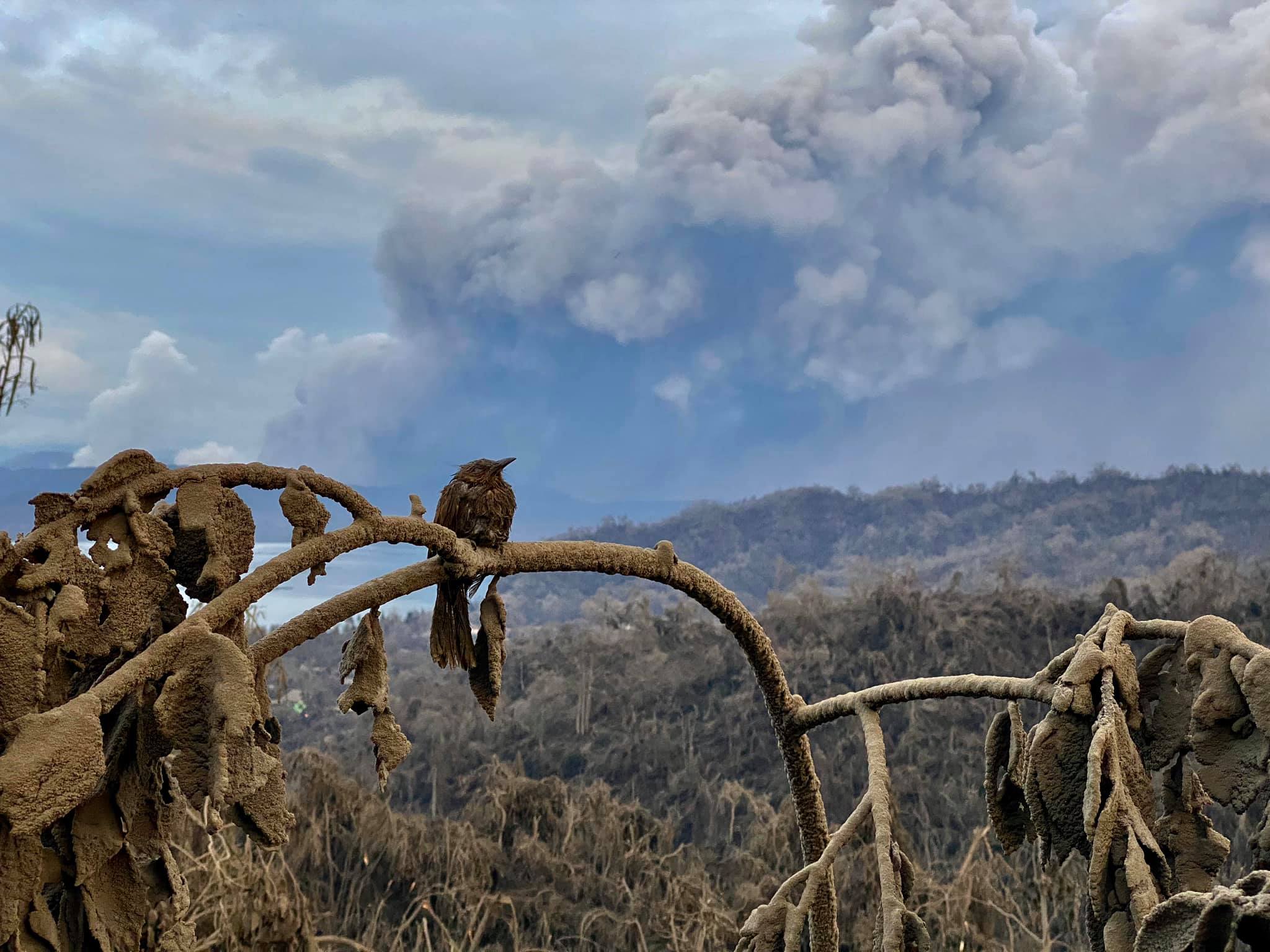 Katotohanan ng bulkan