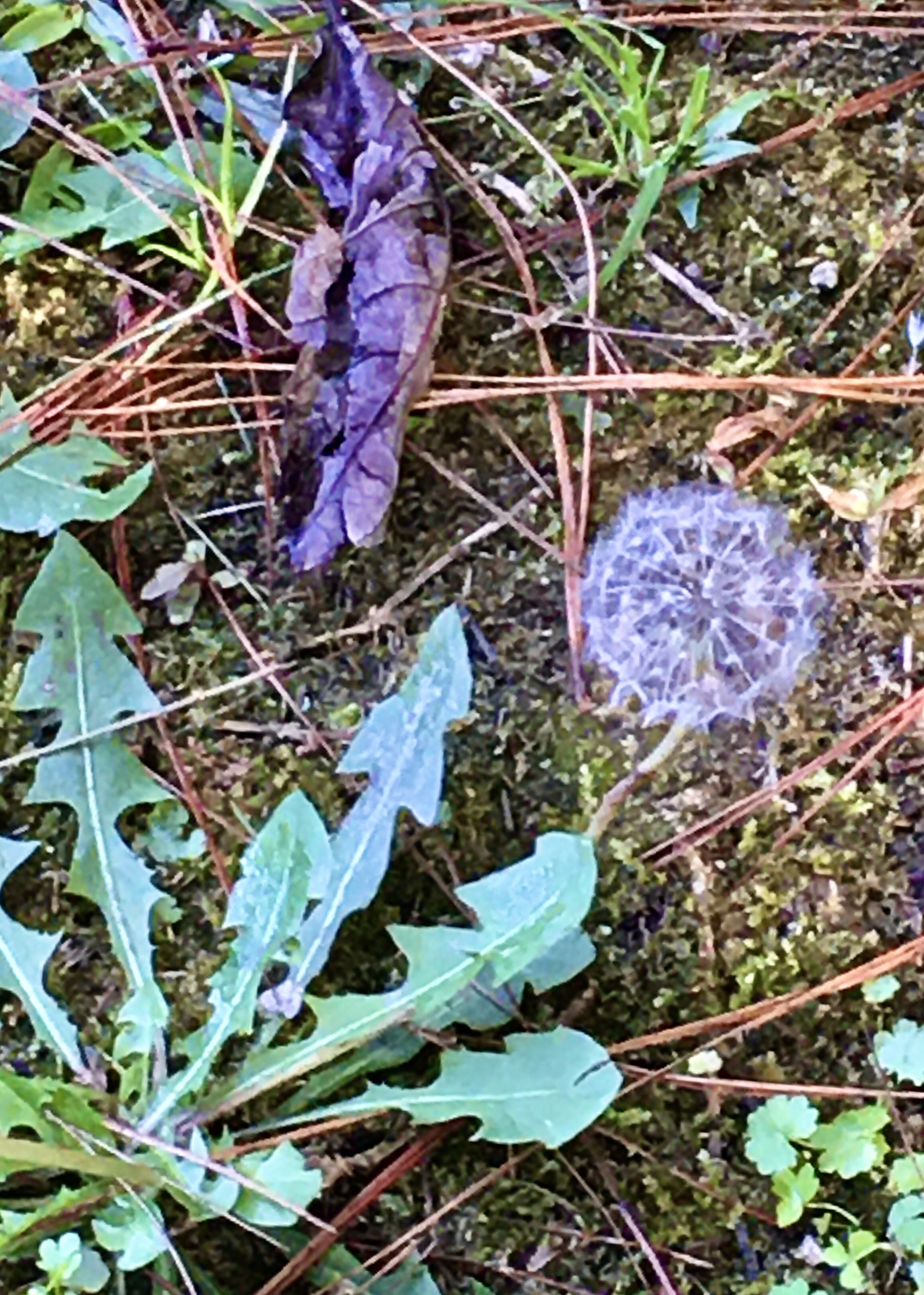 Hayyyy… buntung-hininga!