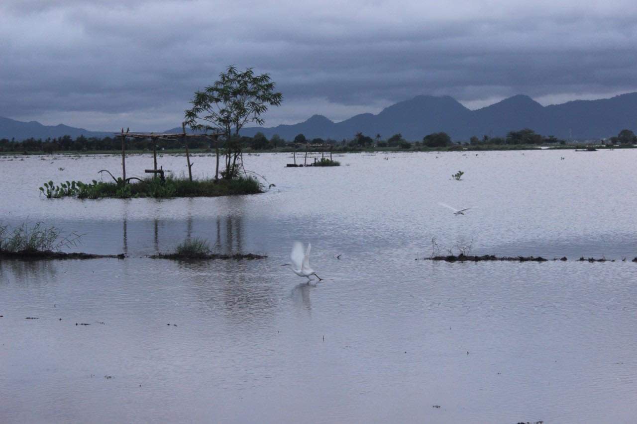 “Paglisan” by Color It Red (1994)