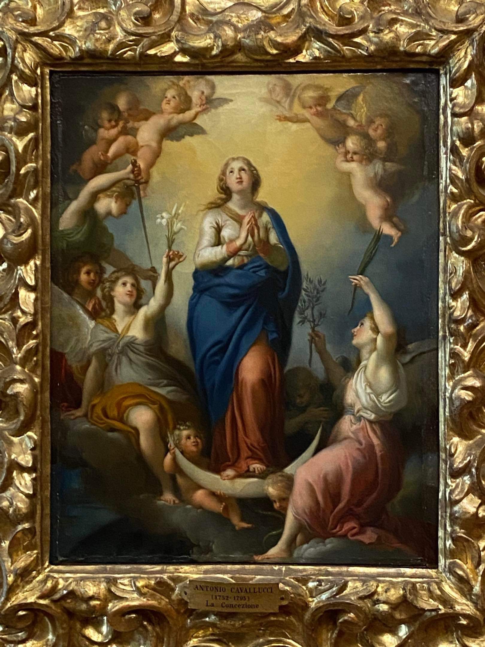 Mary, advocate of grace and model of holiness