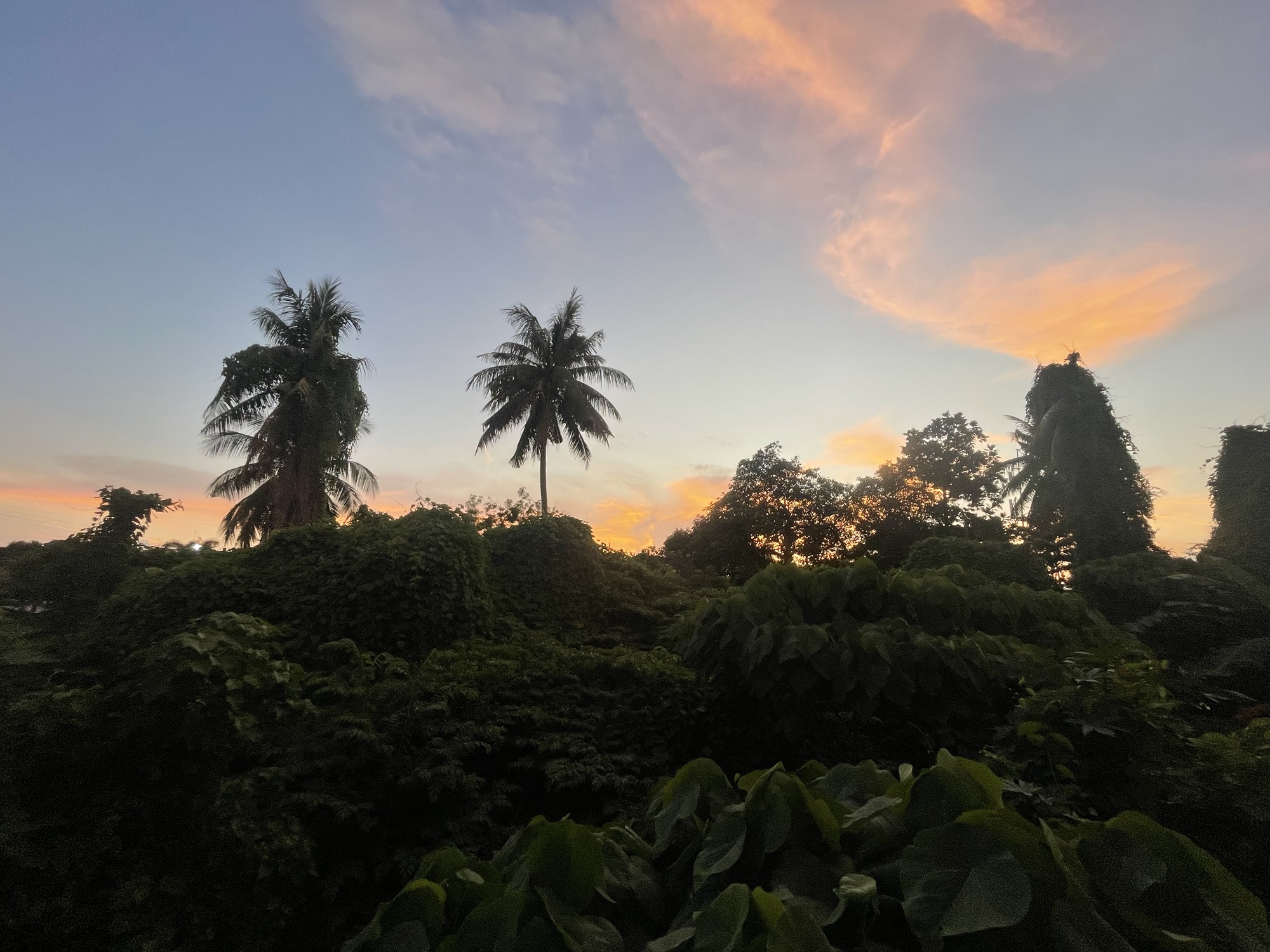 Of sight & stature, vision & submission